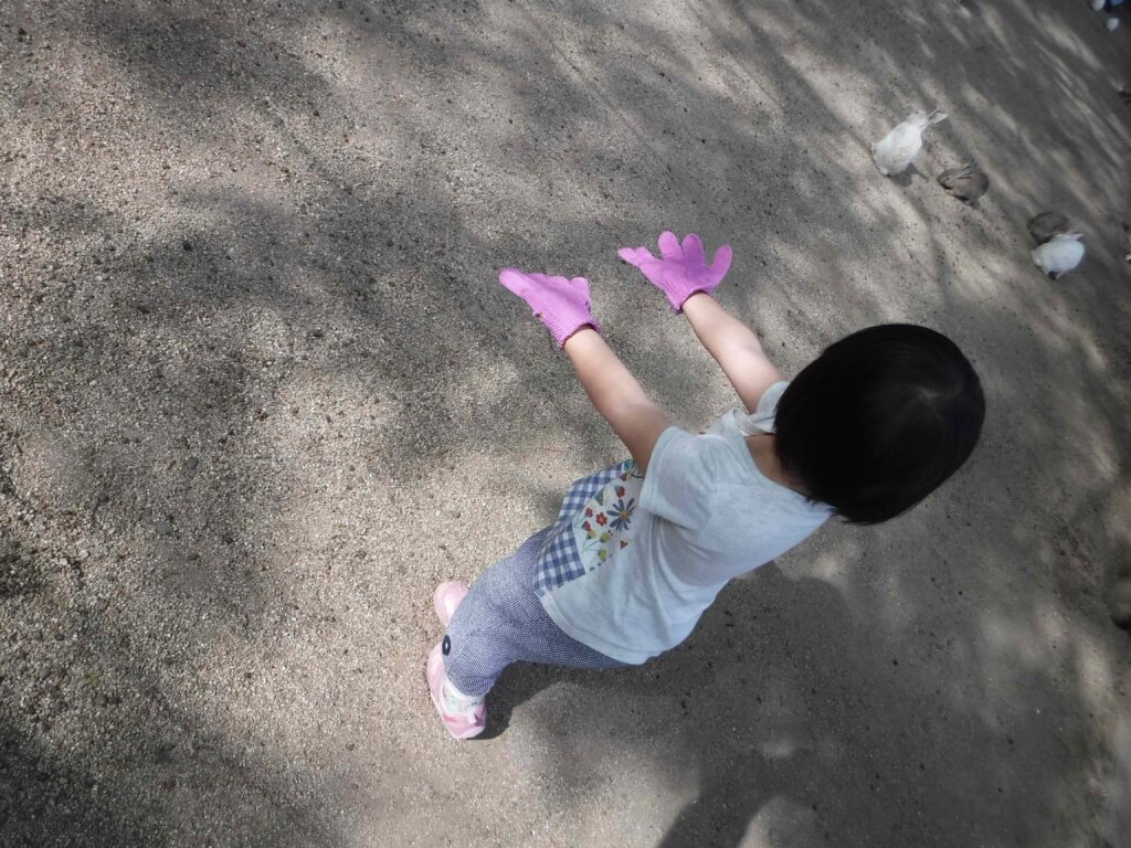 2024.8.6 お勉強 | (CSS)フルオーダーカウンセリング